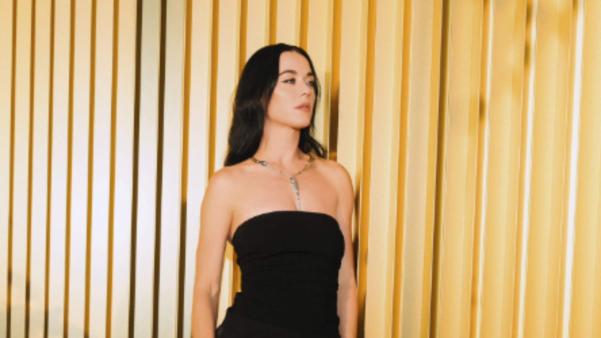 Katy Perry Wins Legal Battle Over Luxury Home Versus Disabled Veteran ...